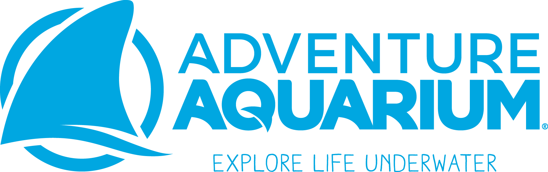 Adventure Aquarium announces leadership transition « Amusement Today Adventure Aquarium announces leadership transition « Amusement Today